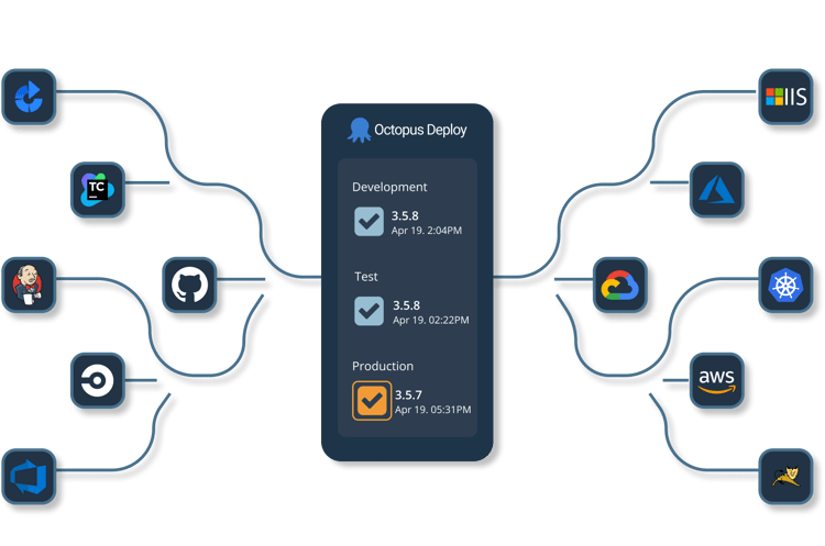 Octopus | Bion Consulting
